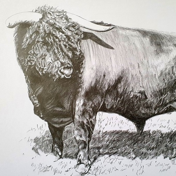 Hancox Art – The official, online art store and gallery for artist ...